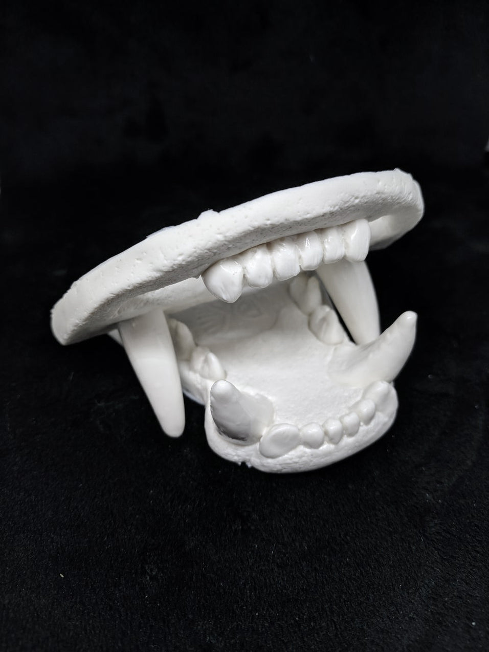 Red Panda Jaw Set — DrakonicKnight