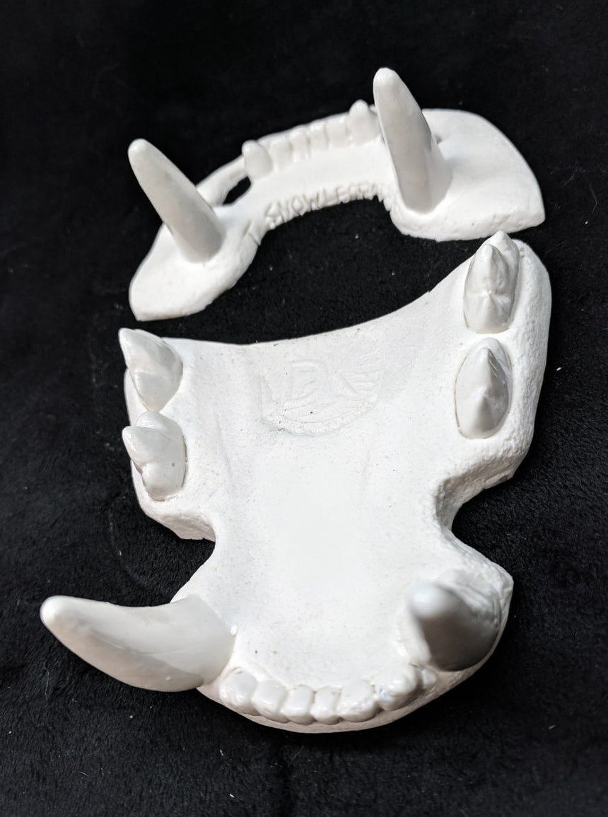 Snow Leopard Jaw Set — DrakonicKnight