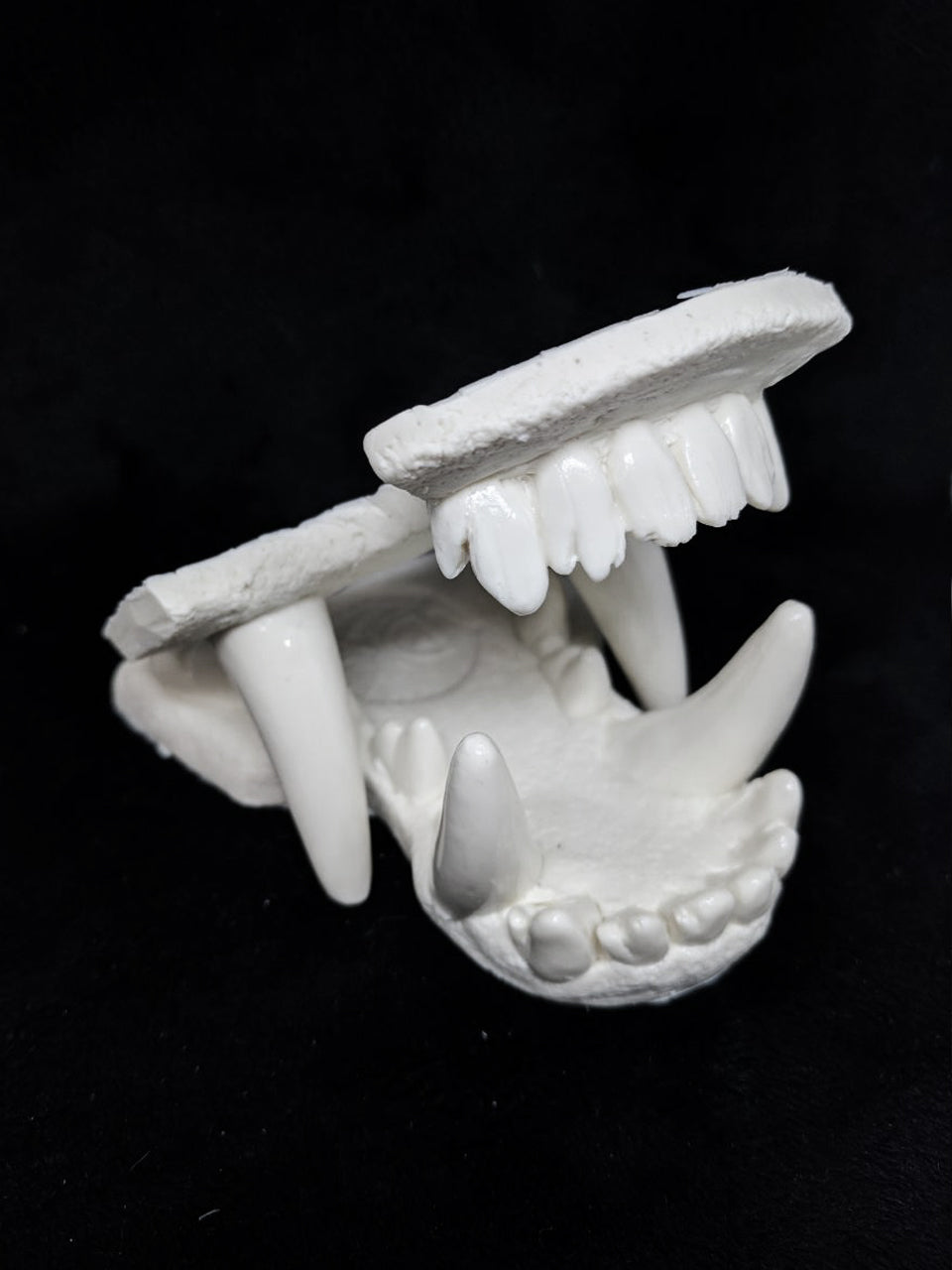 Wolf Jaw Set — DrakonicKnight